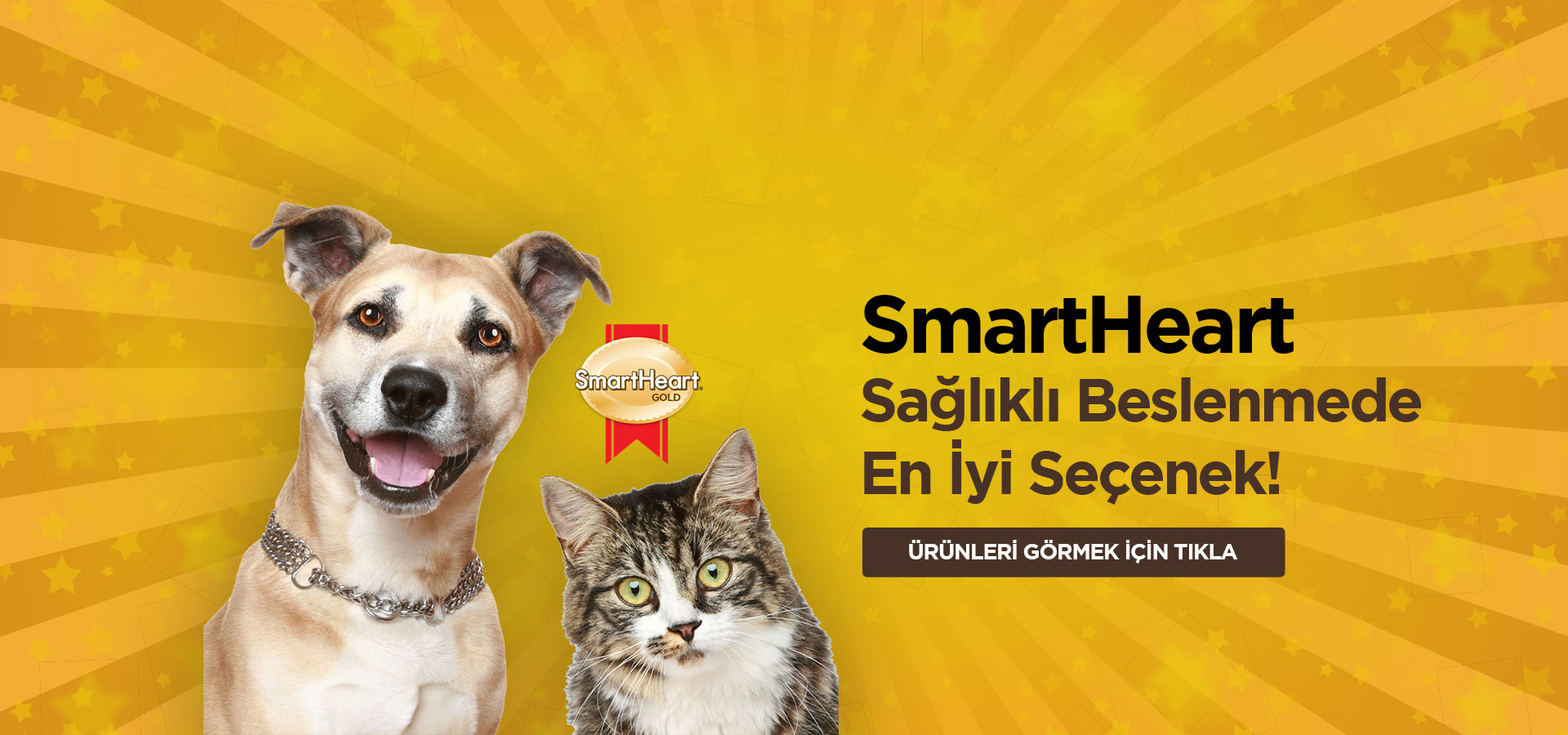 PCG TÜRKİYE | MEO | SMARTHEART